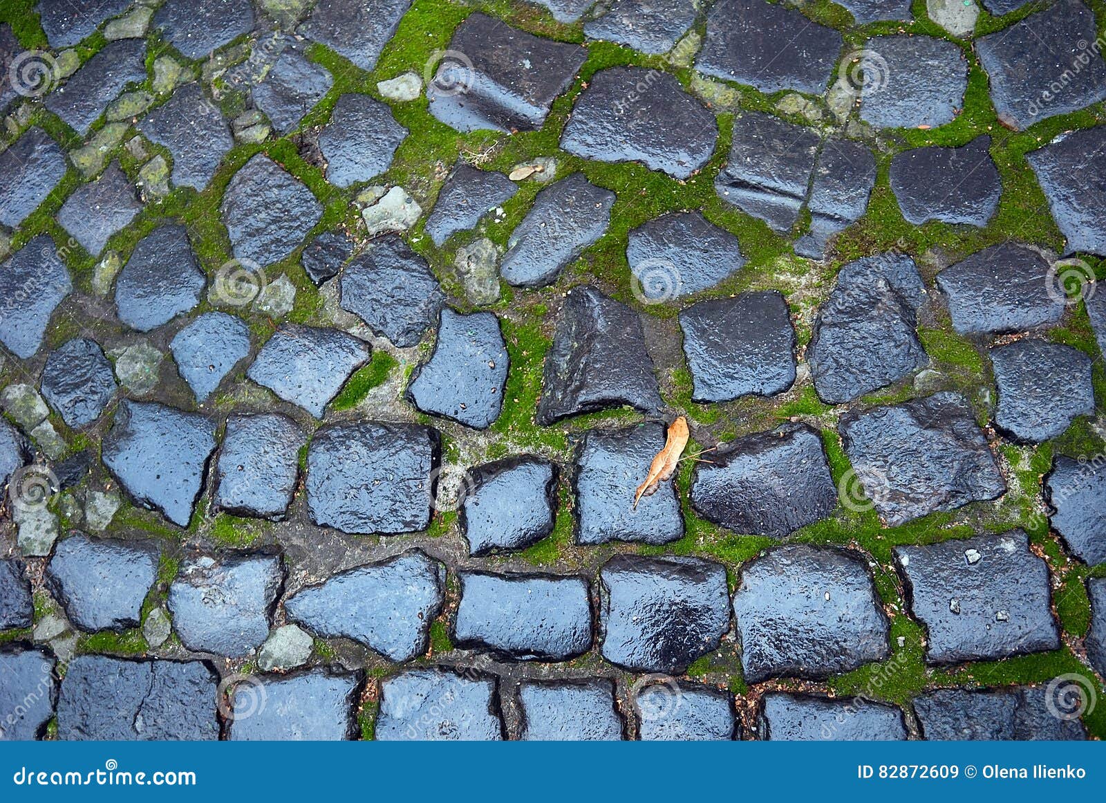 Cobblestone Pavement with Moss Stock Image - Image of outdoor, moss ...