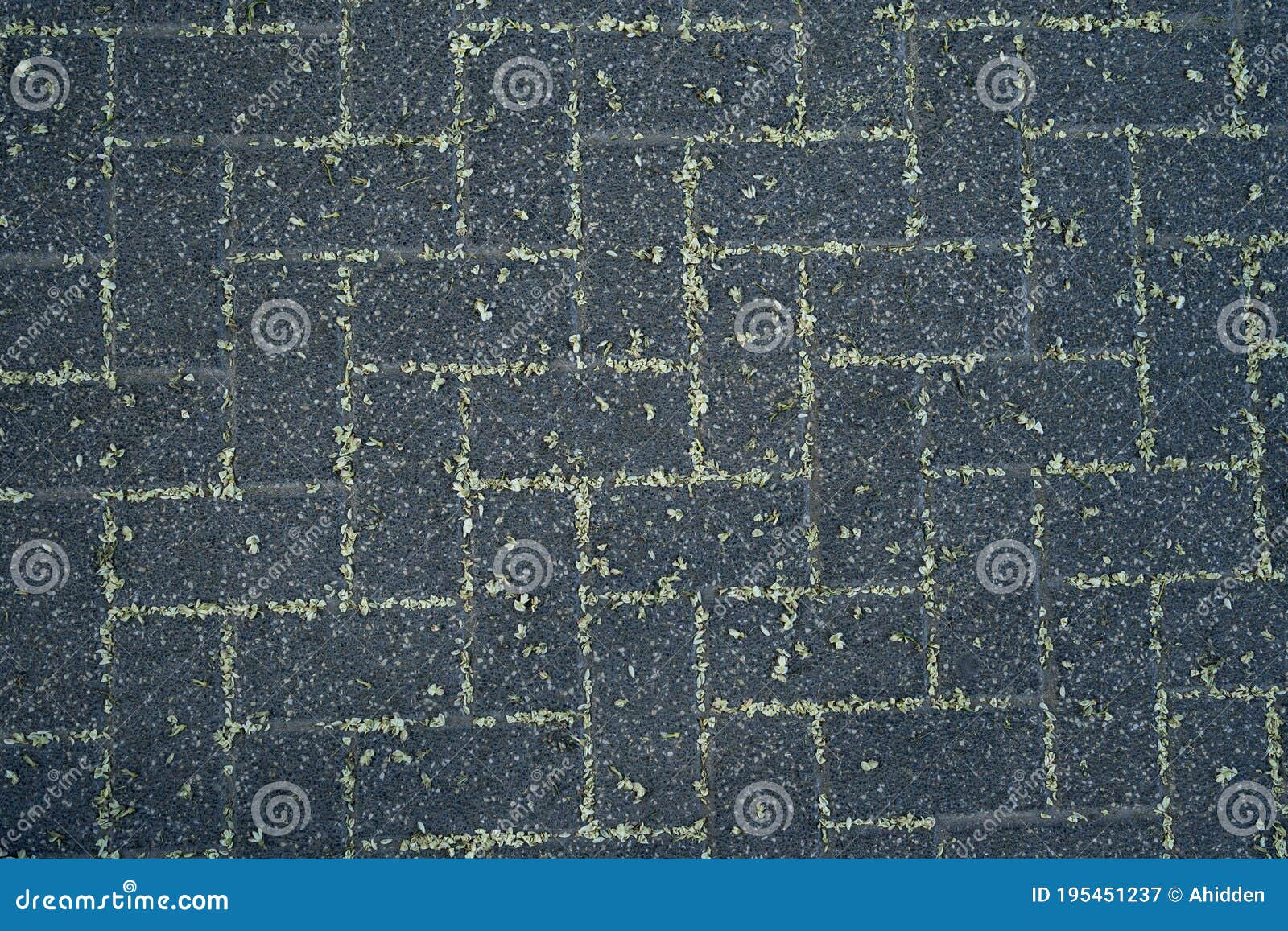 Street pavement texture stock image. Image of mosaic - 195451237