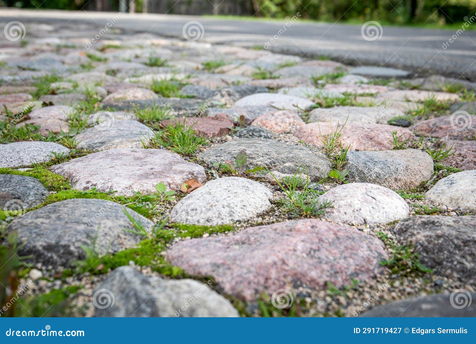Cobblestone Pavement. Traffic, Improvement and Urban Environment Stock ...