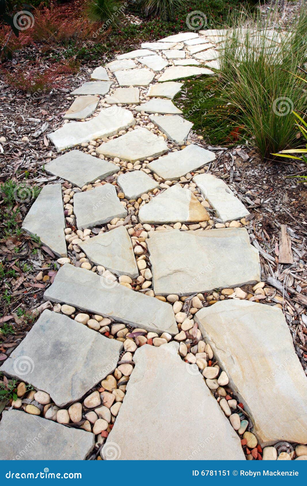 Cobblestone and Pebble Pathway Stock Image - Image of track, rural: 6781151