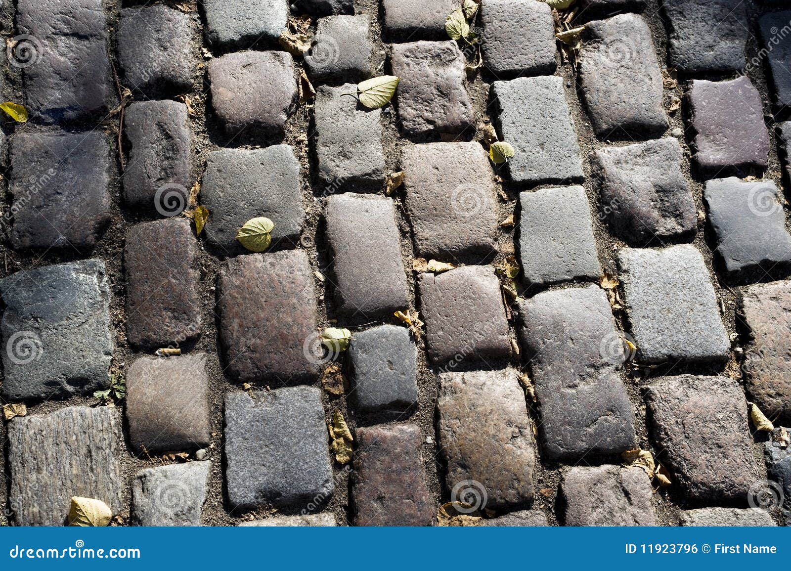 Cobblestone road stock photo. Image of leaf, avenue, hearth - 11923796
