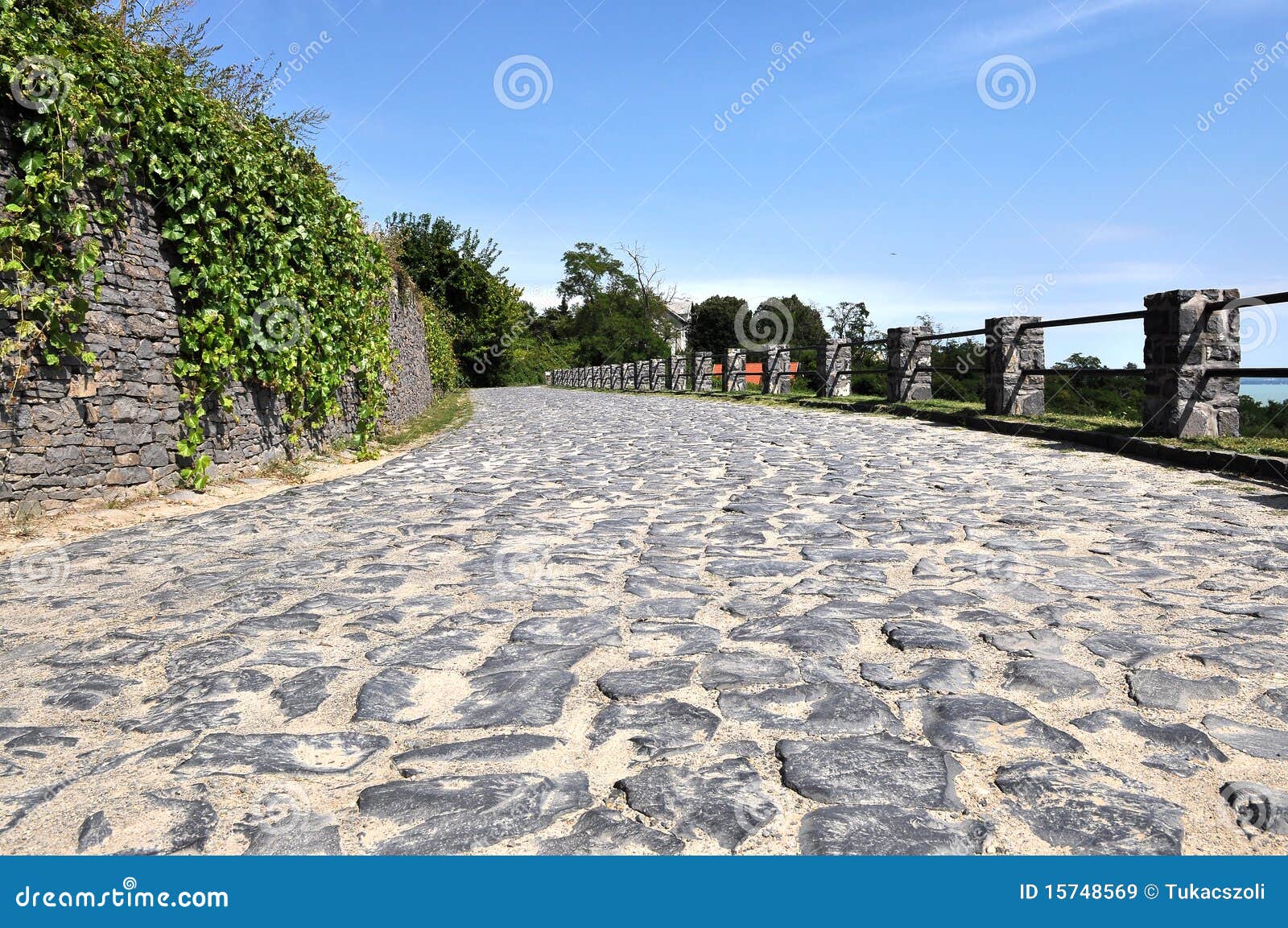 Cobblestone road stock image. Image of gray, plants, cobblestone - 15748569