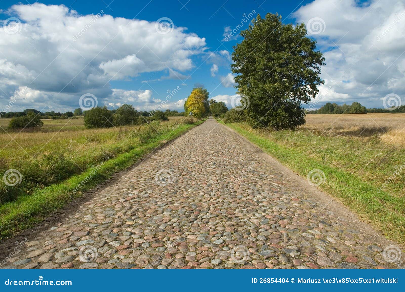 Cobblestone road stock photo. Image of environment, avenue - 26854404