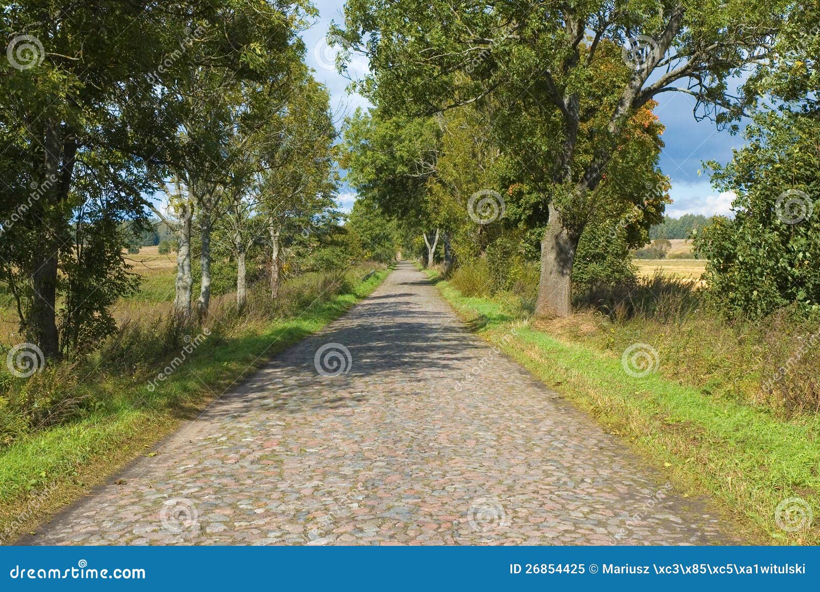 Cobblestone road stock image. Image of alley, country - 26854425