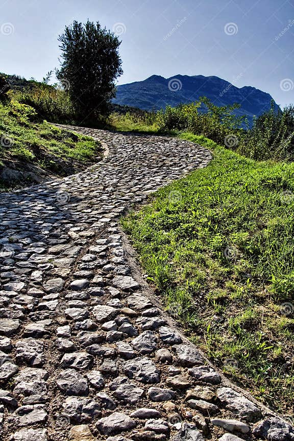 Cobblestone road stock image. Image of daytime, nature - 8696605