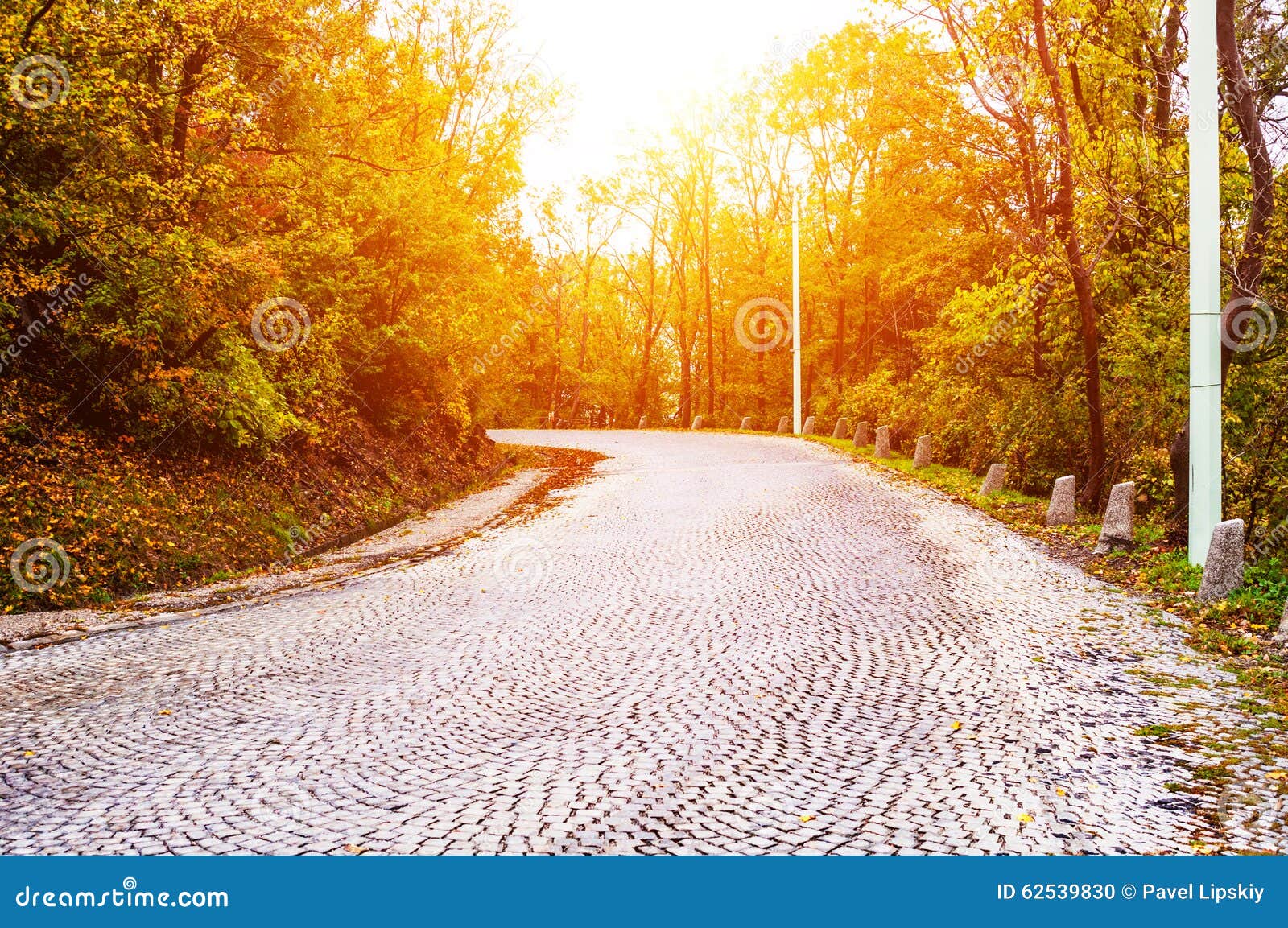 Cobblestone Road at Autumn Forest Stock Photo - Image of scenery ...