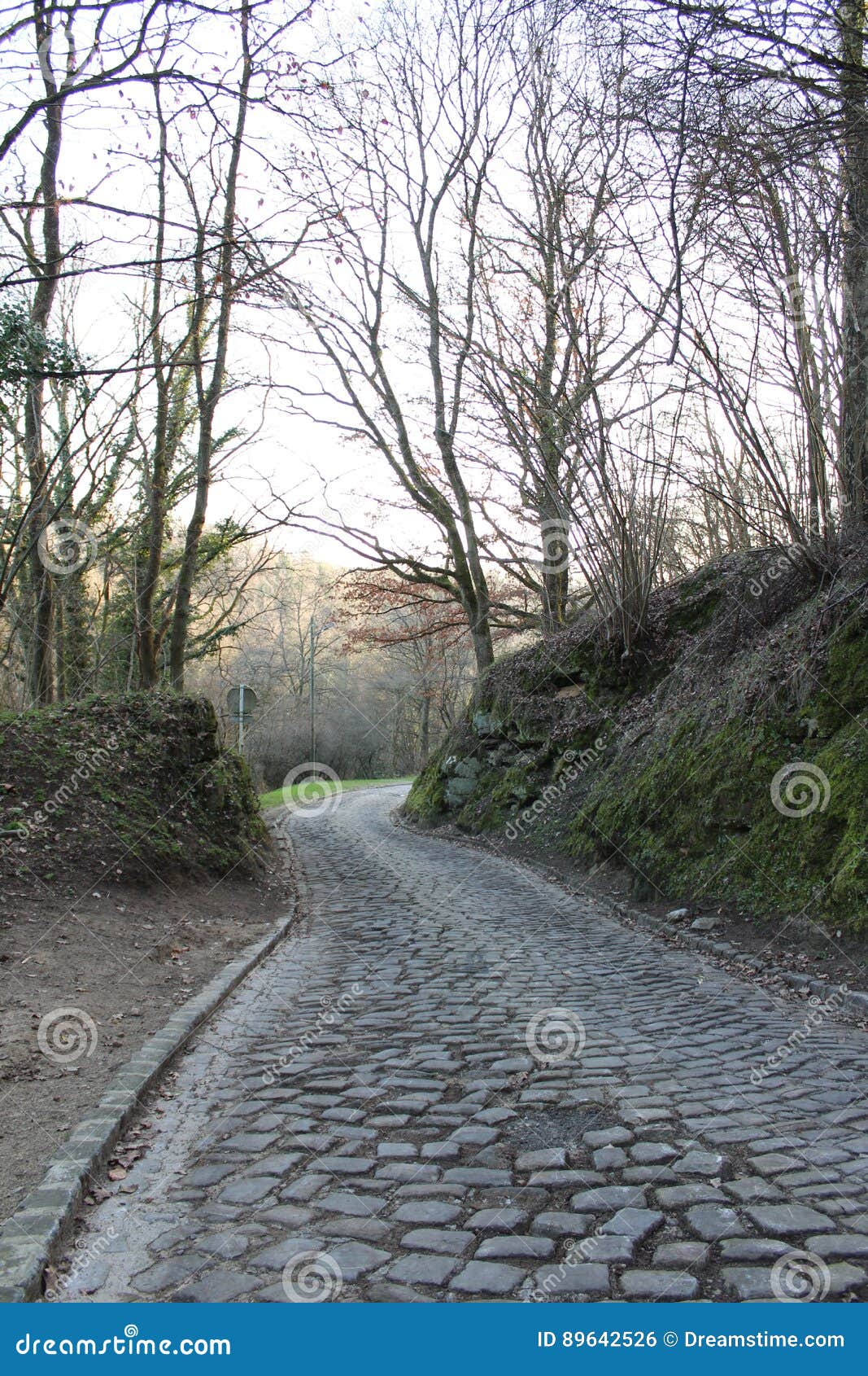 Cobblestone road stock photo. Image of cobblestone, spring - 89642526