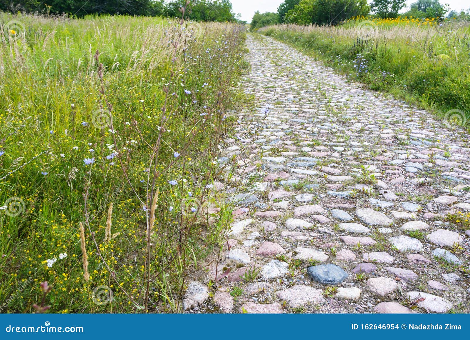 Cobblestone Road Outside the City, Old German Road in the Field Stock ...