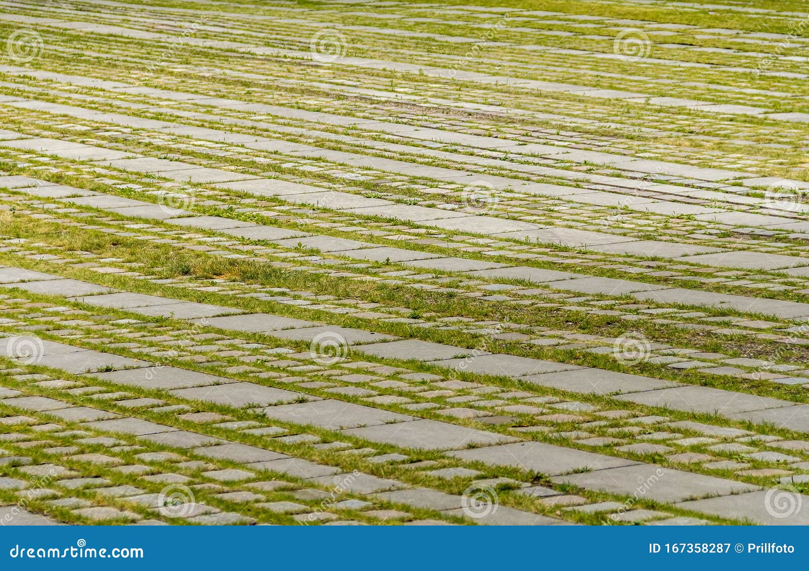 Cobblestone Rows Background Stock Image - Image of overgrown, stone ...