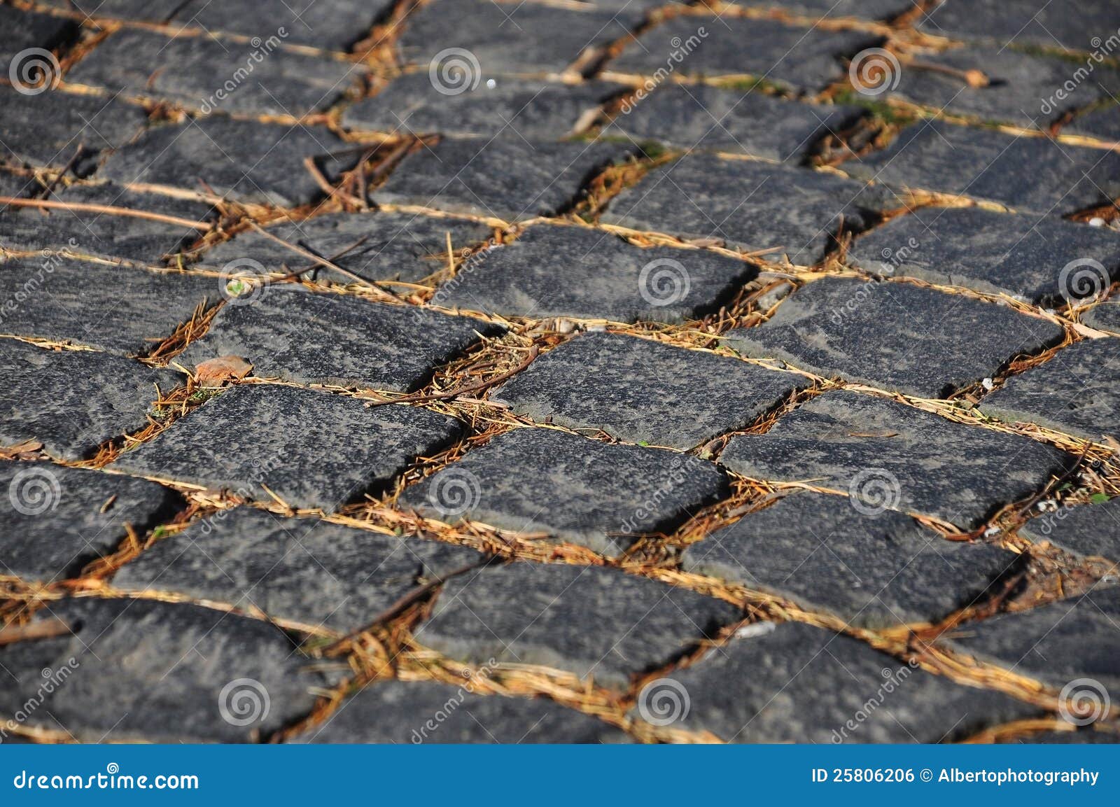 Cobblestone street detail stock photo. Image of lane - 25806206