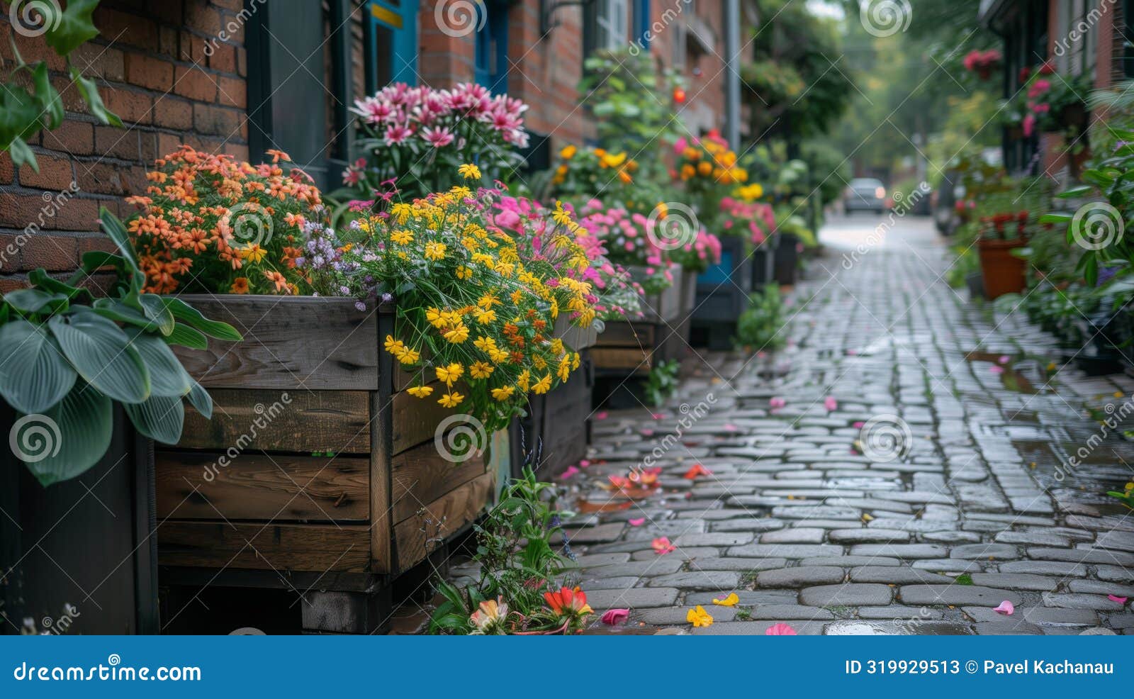 A Cobblestone Street Lined with Flower Boxes Stock Image - Image of ...