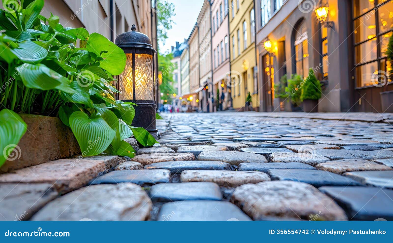 A Cobblestone Street Lined with Plants and a Lamp Post Stock Photo ...