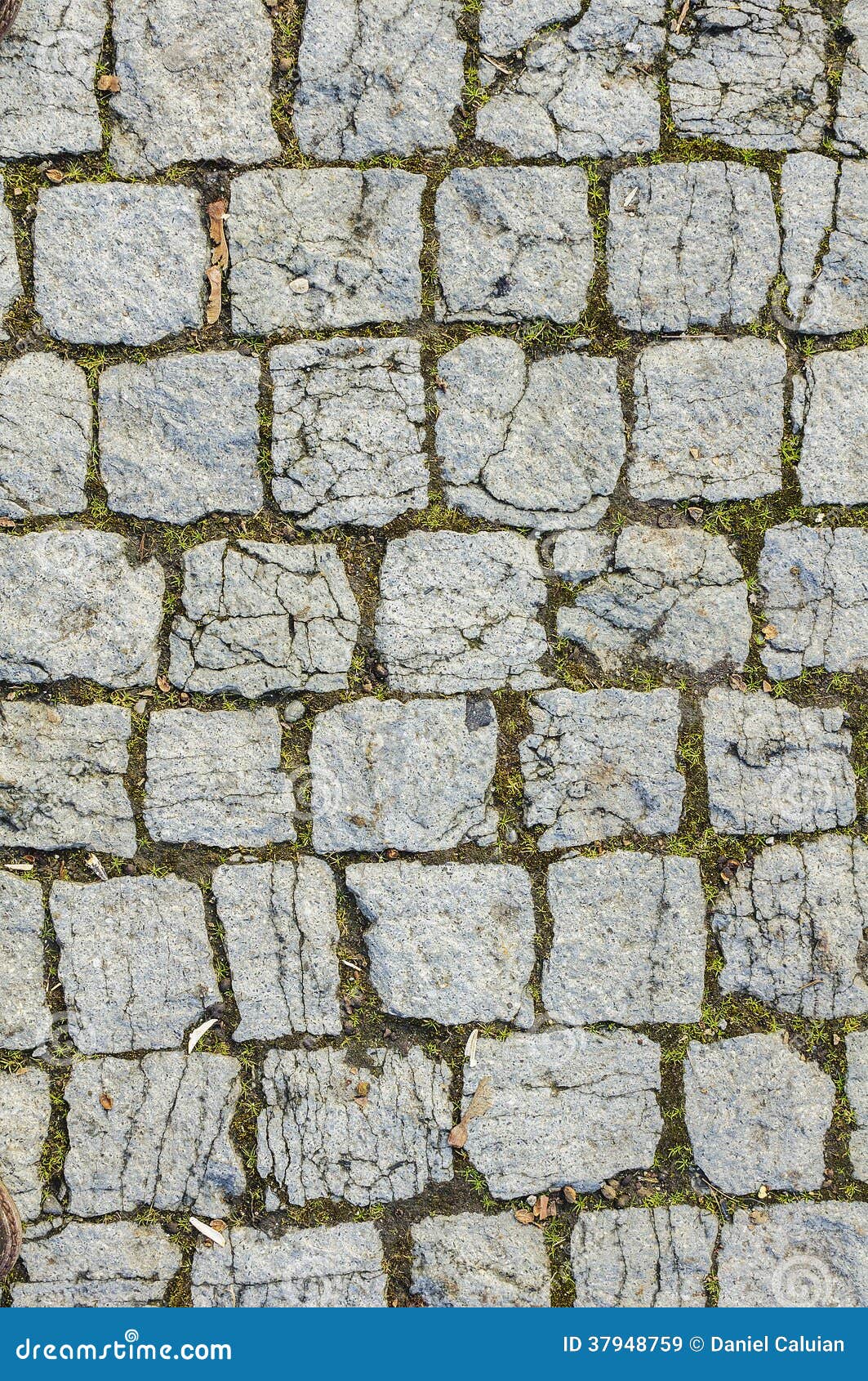 Cobblestone Texture With Grass Between Blocks Royalty-Free Stock Image ...