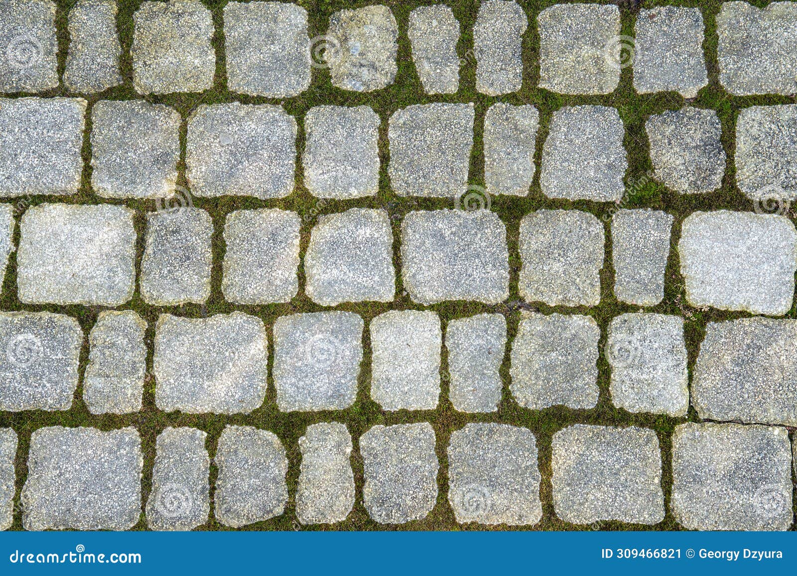 Cobblestone Texture with Grass Growth between Bricks Stock Image ...