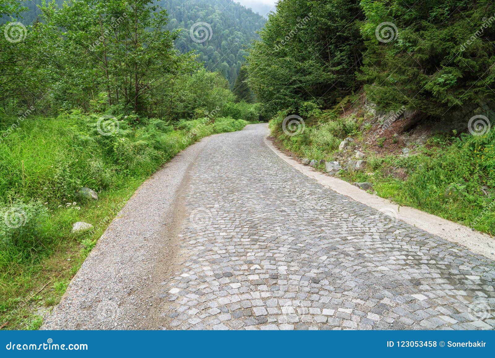 Cobblestone Walk Way in To the Park in Forest. Stock Photo - Image of ...
