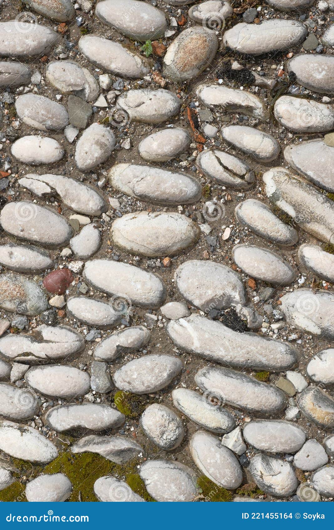 Cobblestone Walking Path Overgrown with Green Grass Stock Photo - Image ...