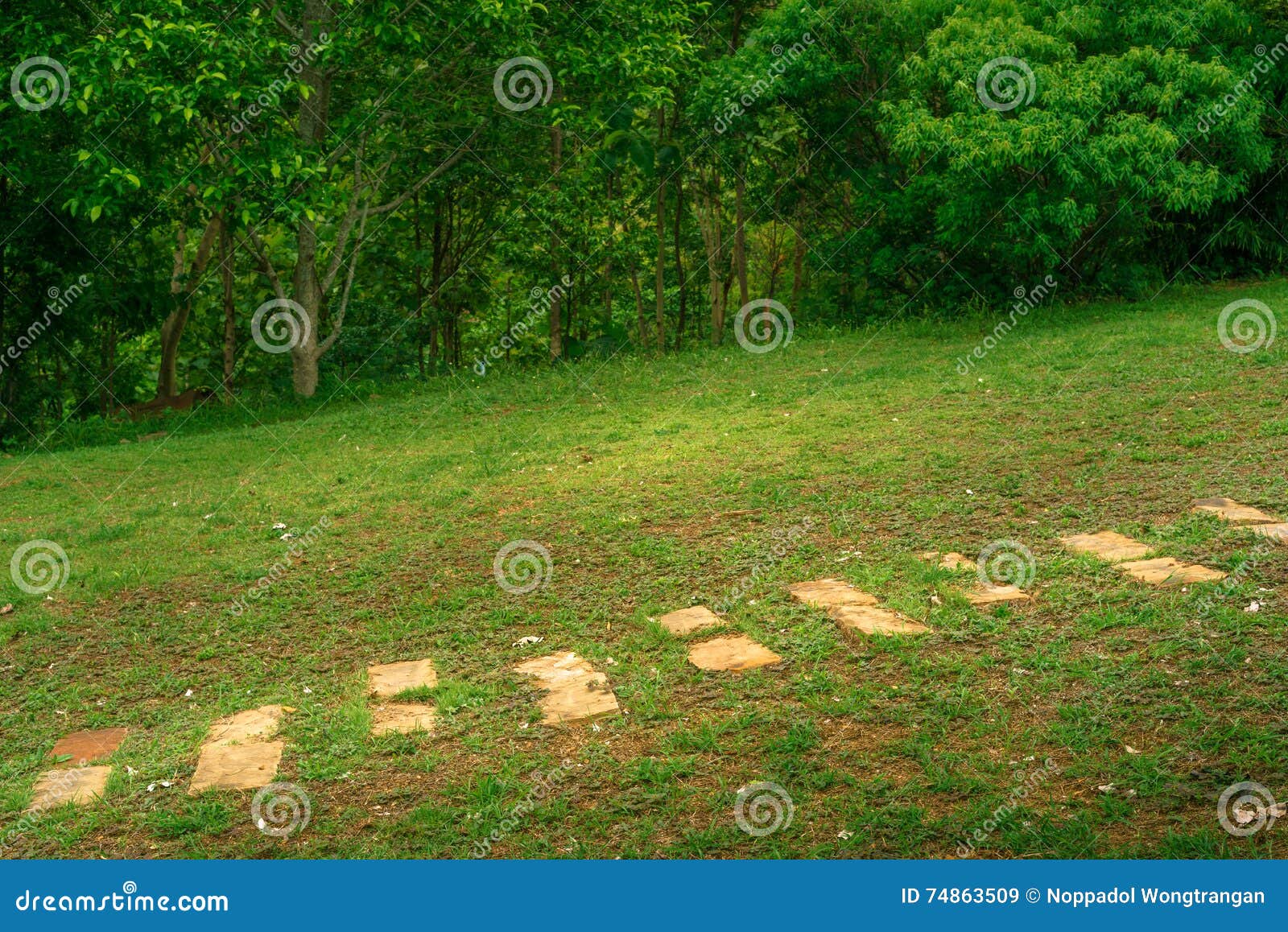Cobblestone Walkway in Grass Field and Forest Stock Image - Image of ...