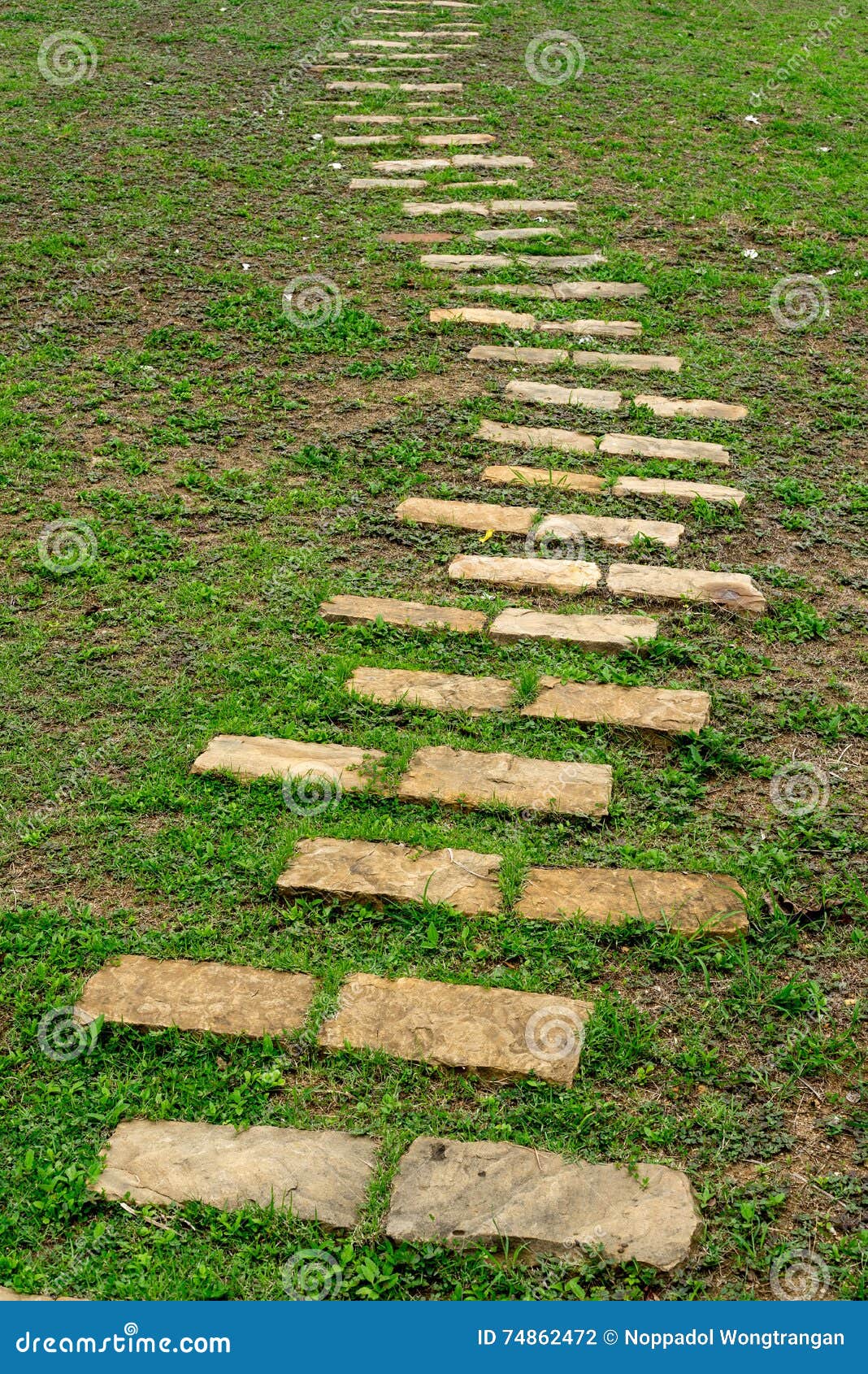 Cobblestone Walkway in Grass Field Stock Photo - Image of natural ...
