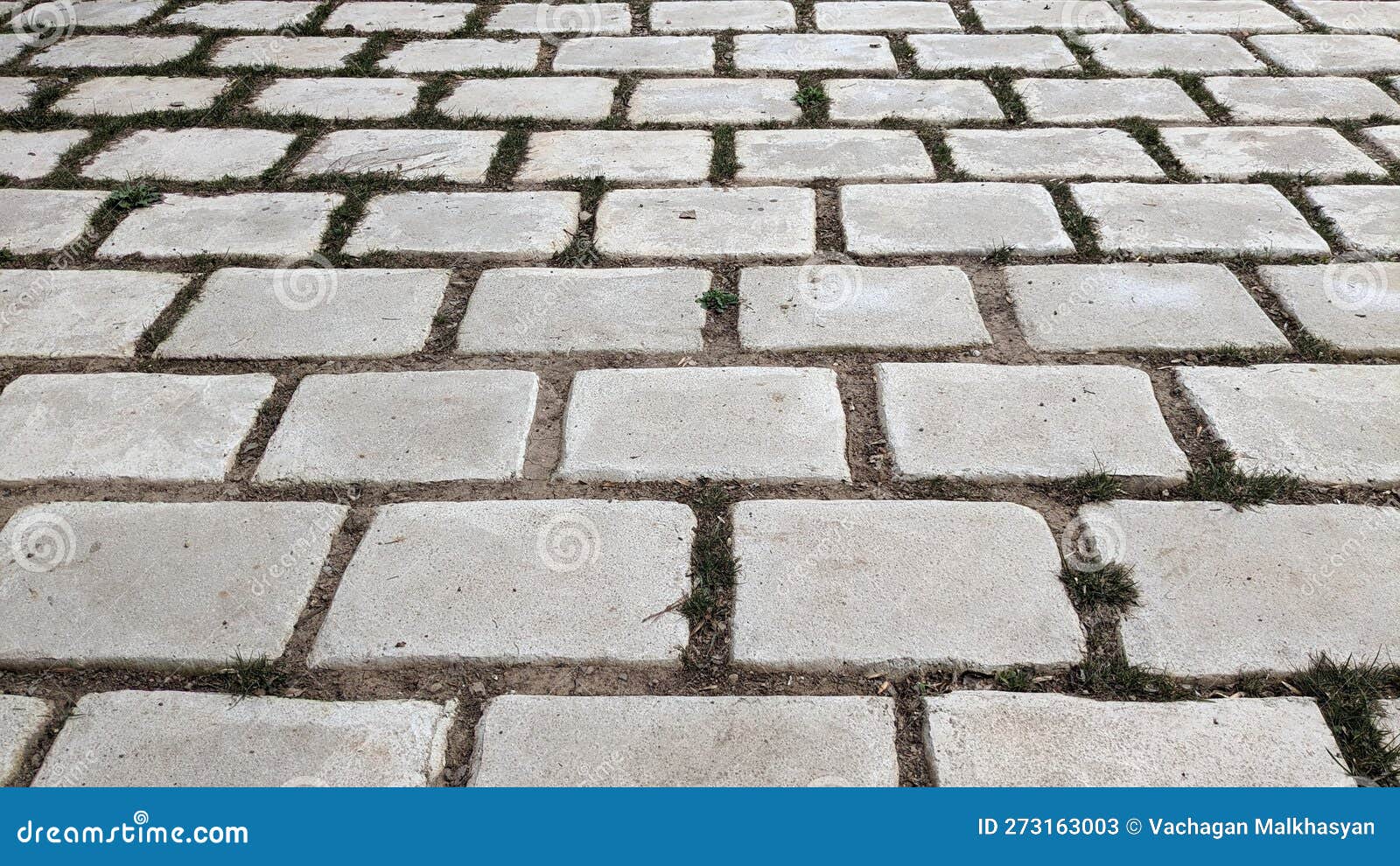 Cobblestone Walkway in the Park, Closeup of Photo Stock Image - Image ...