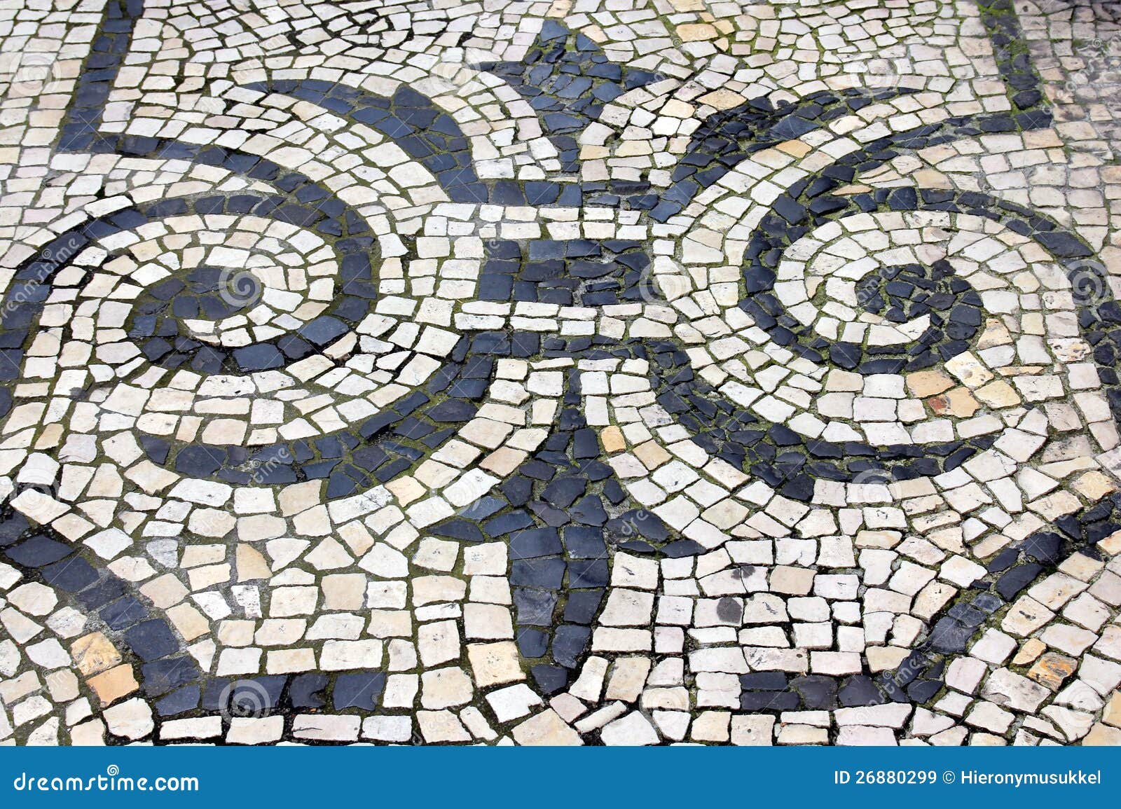 Cobblestones Floral Pattern Stock Image - Image of cobbles, ground ...