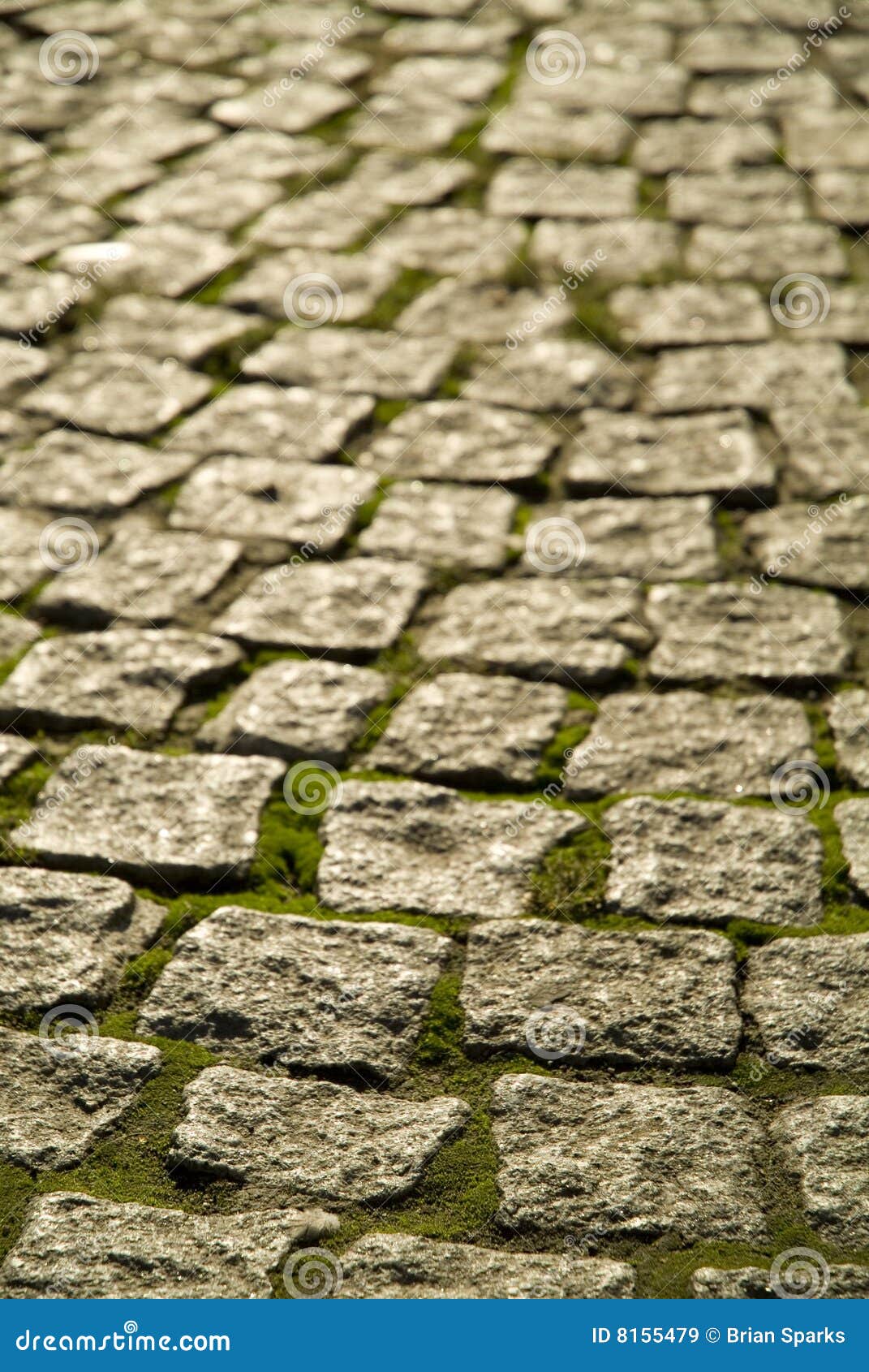 Cobblestones with moss stock image. Image of tread, lines - 8155479