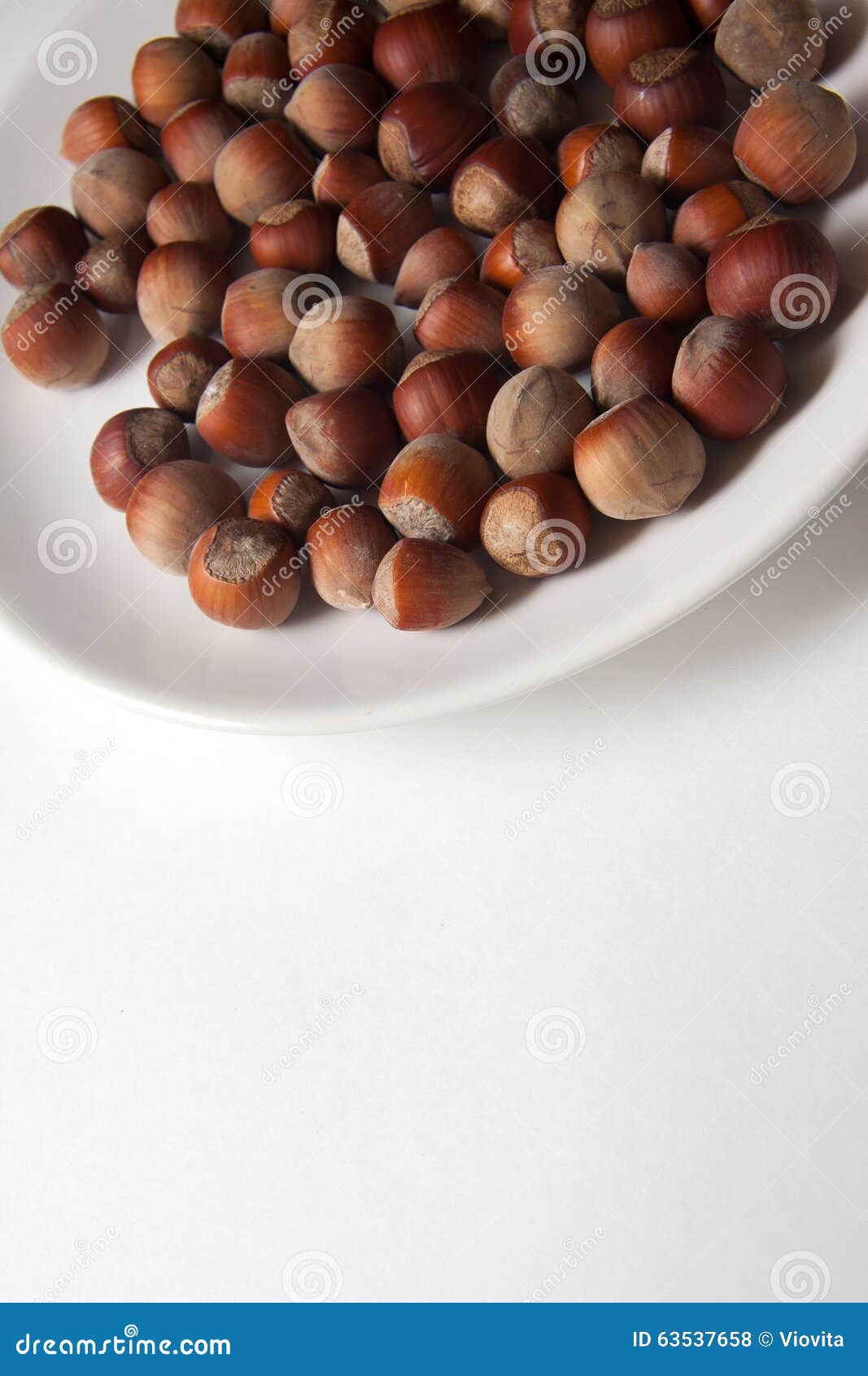 Cobnuts stock photo. Image of colorful, hard, macro, harvest - 63537658