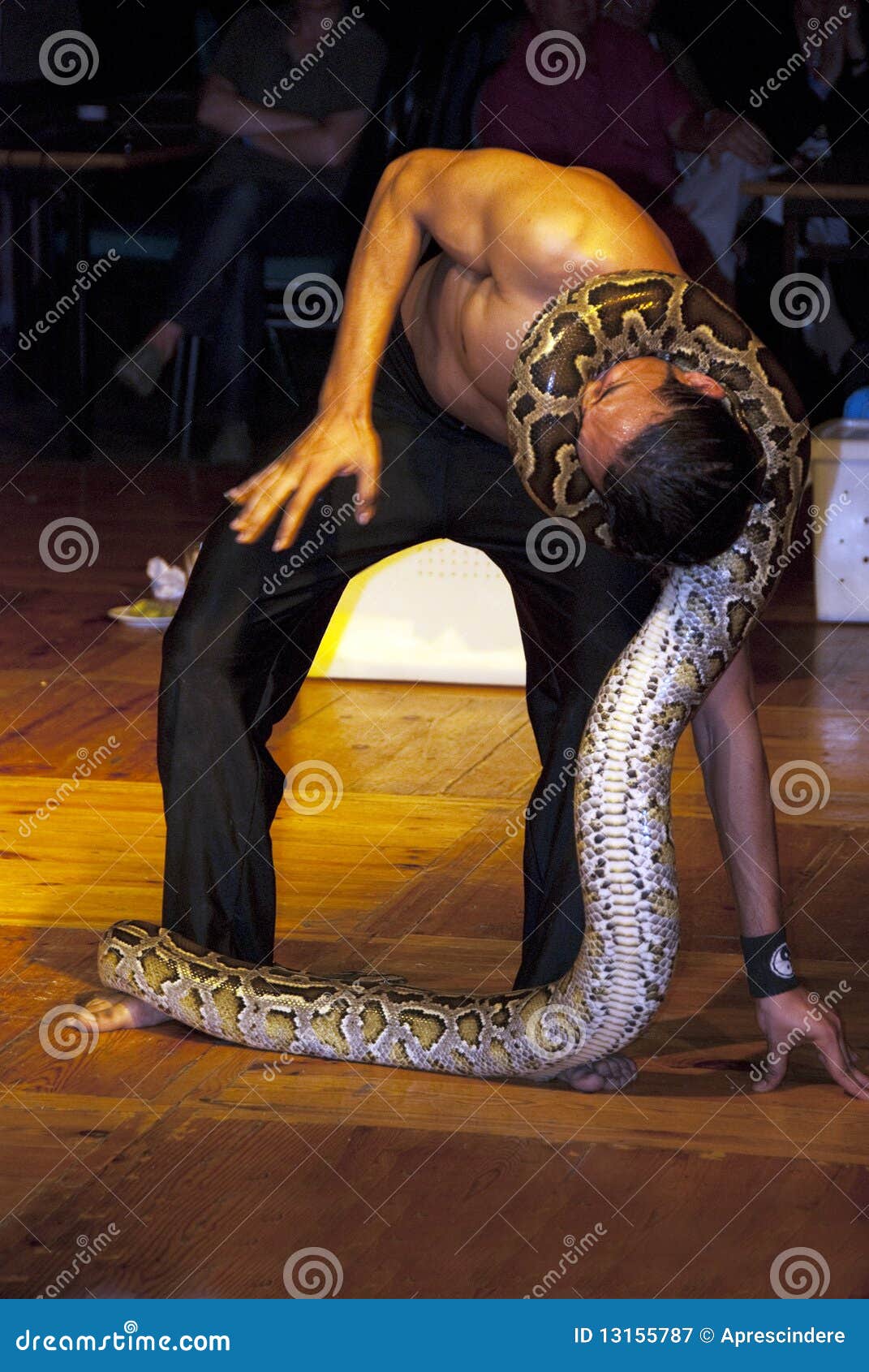 Cobra man spectacle editorial photography. Image of defensive - 13155787