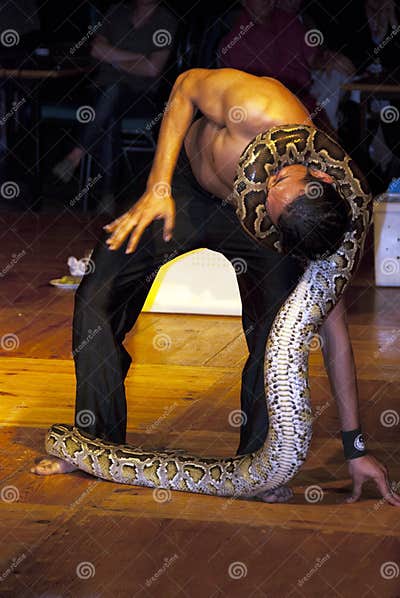 Cobra man spectacle editorial photography. Image of defensive - 13155787