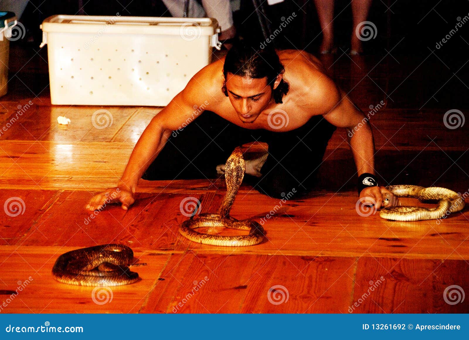 Cobra man spectacle editorial photography. Image of creature - 13261692