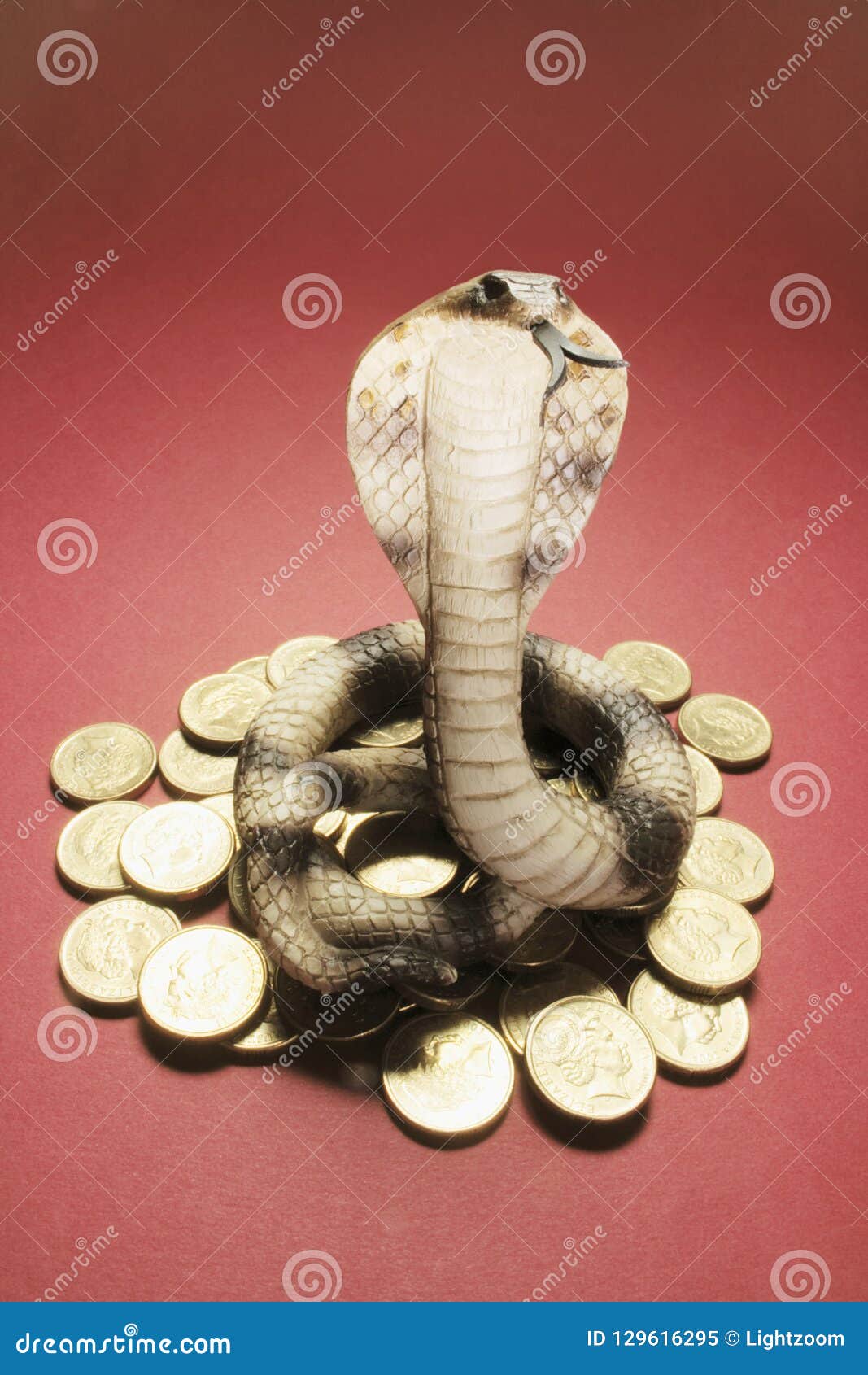 Cobra on Pile of Coins stock image. Image of wealth - 129616295