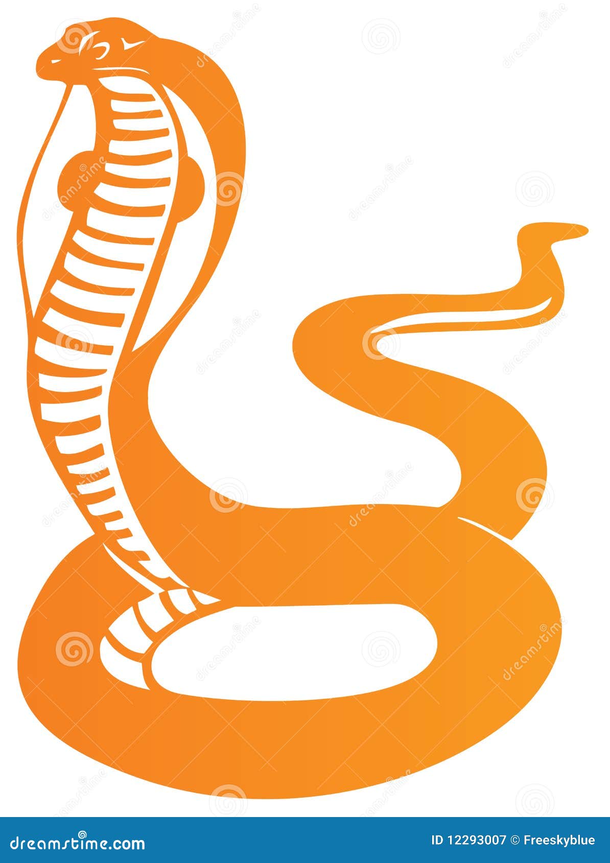 Cobra snake stock illustration. Illustration of closeup - 12293007
