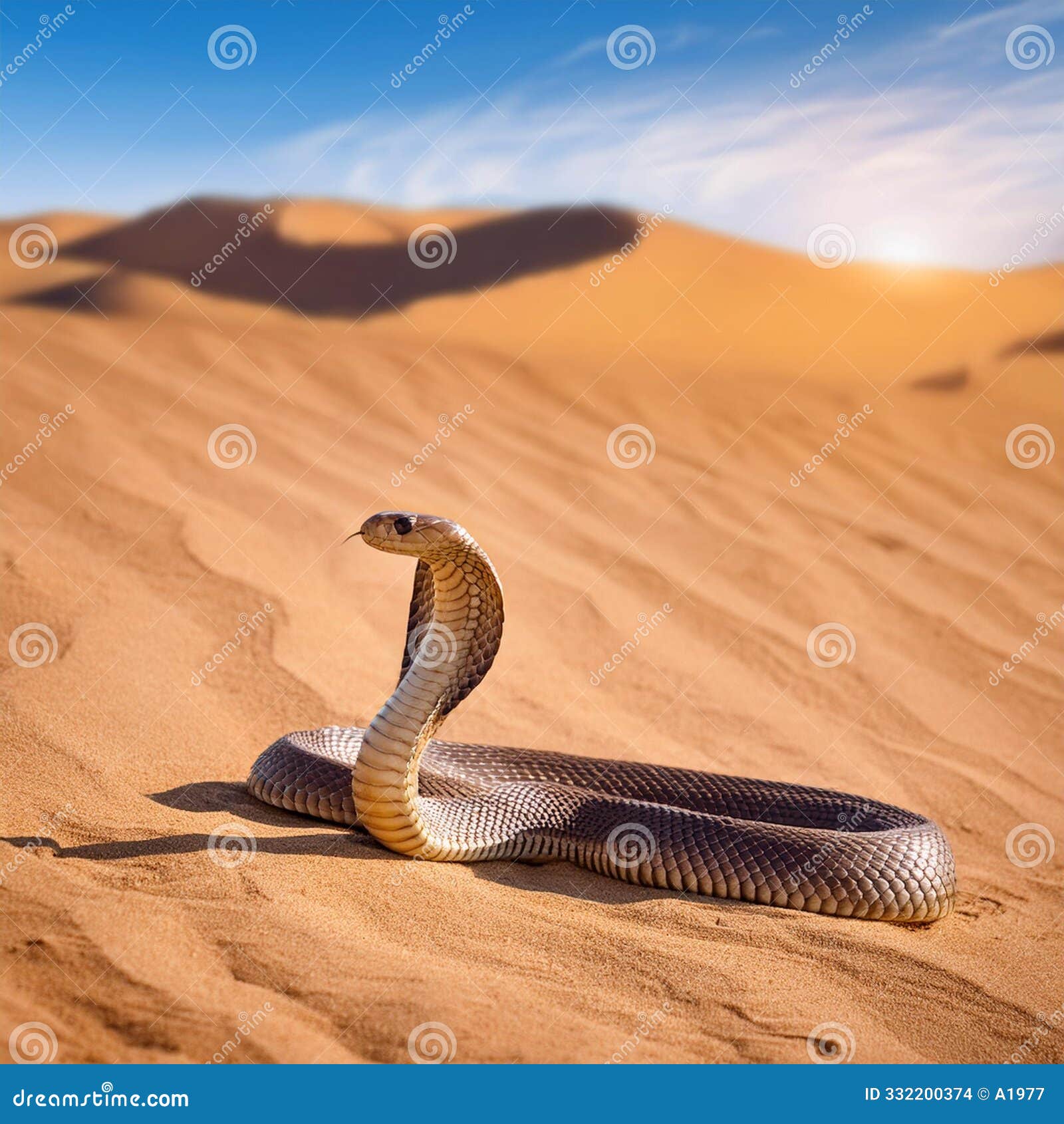 Cobra Snake in the Desert, AI Generated Stock Illustration ...