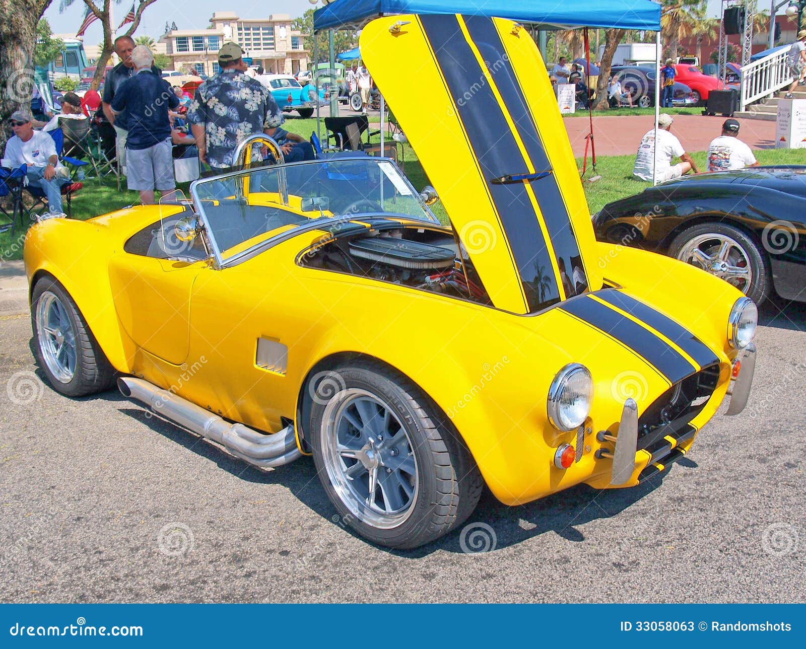 Cobra editorial stock photo. Image of speed, hotrod, retro - 33058063