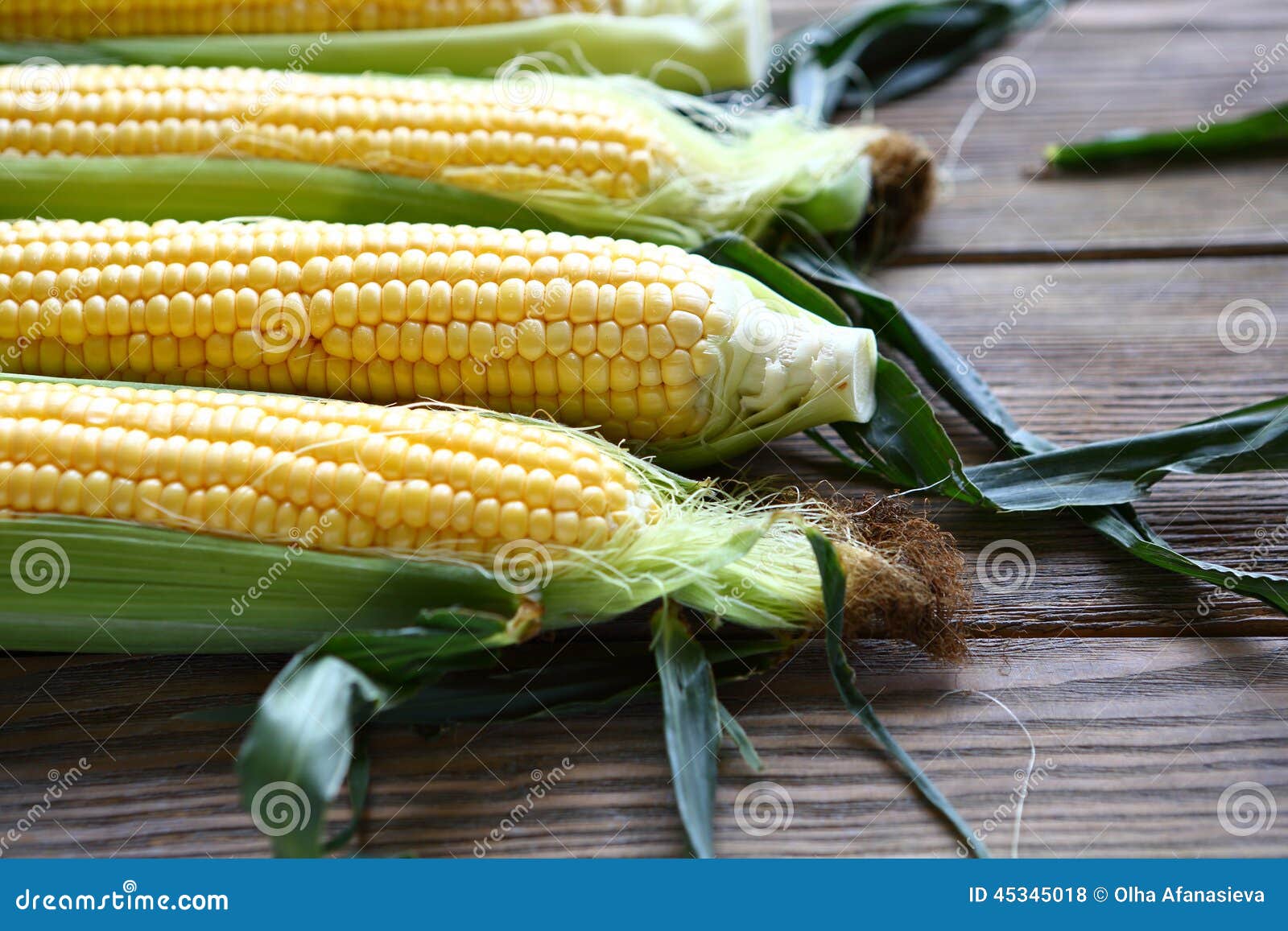 Cobs fresh sweet corn stock photo. Image of wooden, sweet - 45345018
