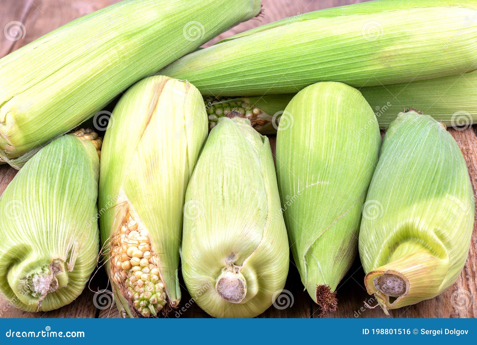 Cobs of Unpeeled Corn on a Wooden Table. Stock Photo - Image of cereal ...