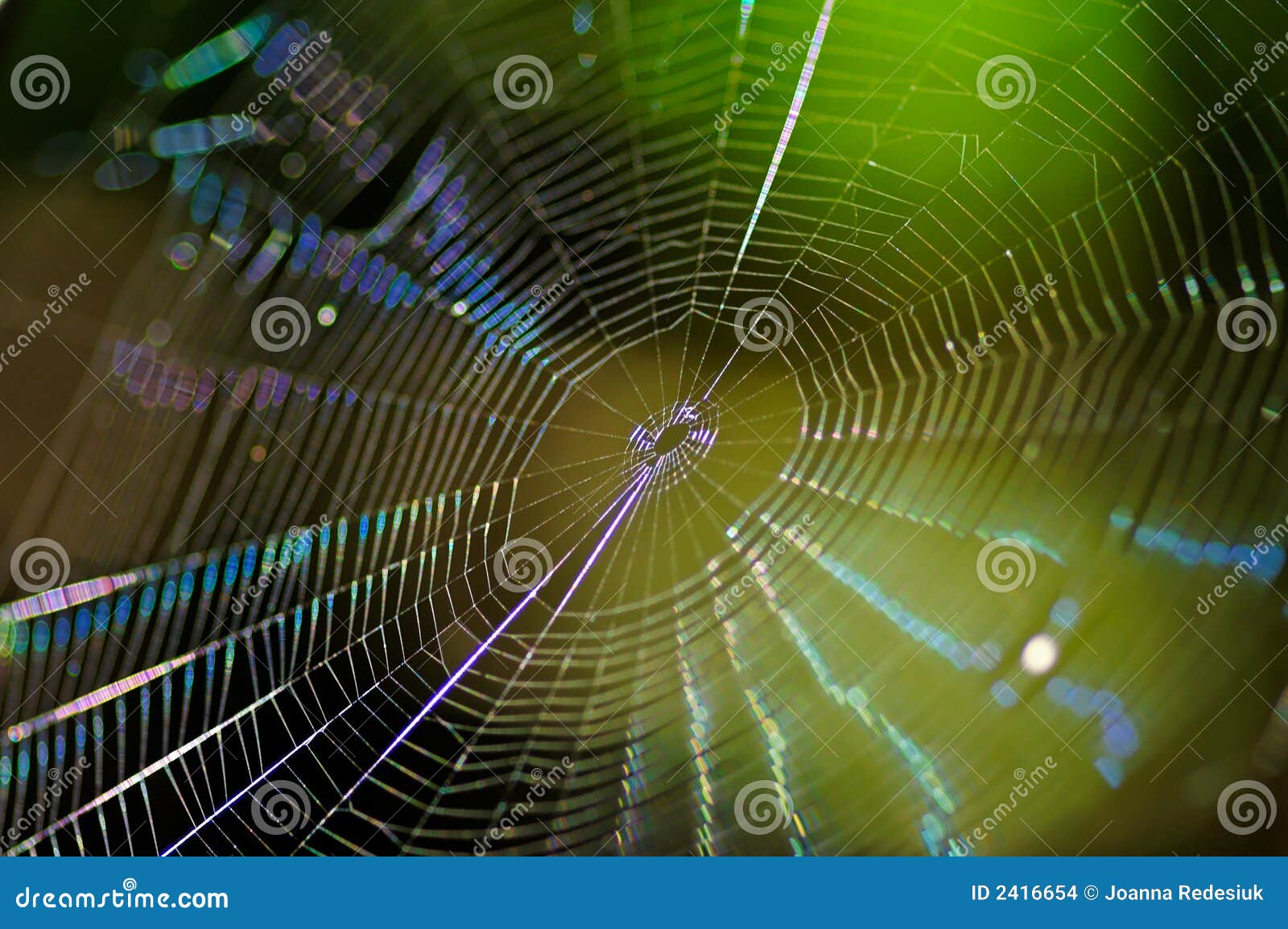 Cobweb stock photo. Image of fall, nature, background - 2416654