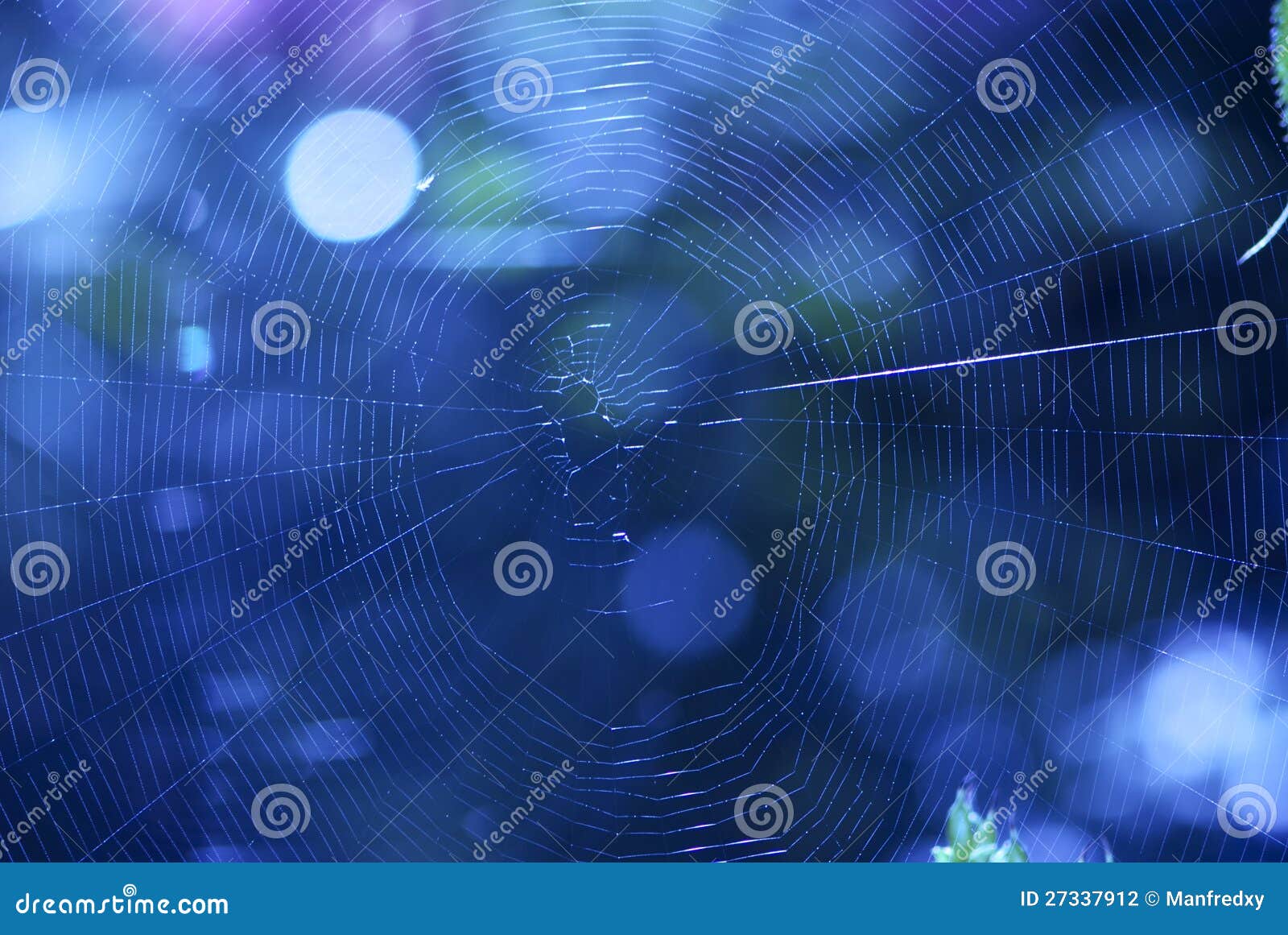 Cobweb stock photo. Image of pattern, reflection, blue - 27337912