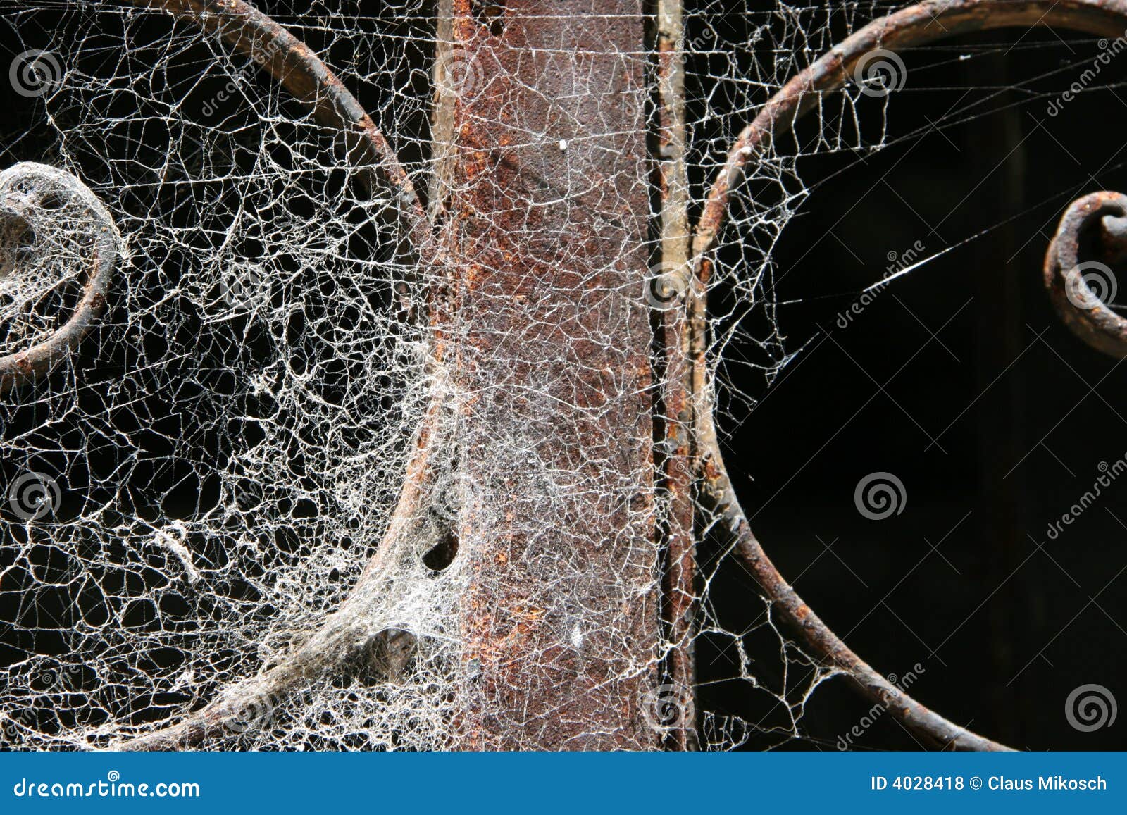 Cobweb stock photo. Image of black, rusty, brown, white - 4028418