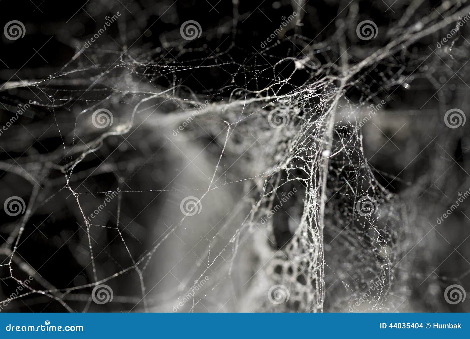 Cobweb background stock photo. Image of pattern, black - 44035404
