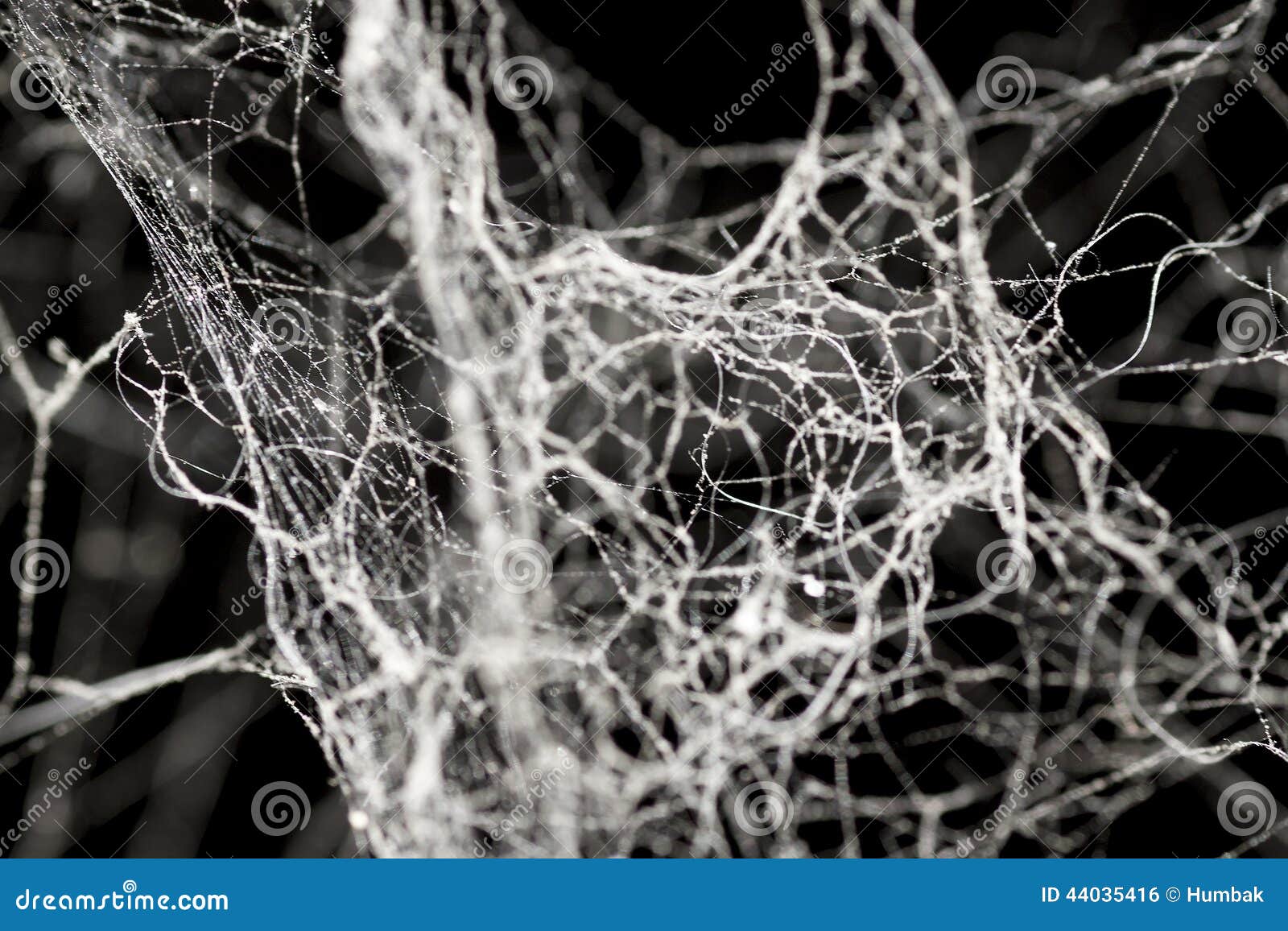 Cobweb background stock photo. Image of mess, dirt, texture - 44035416
