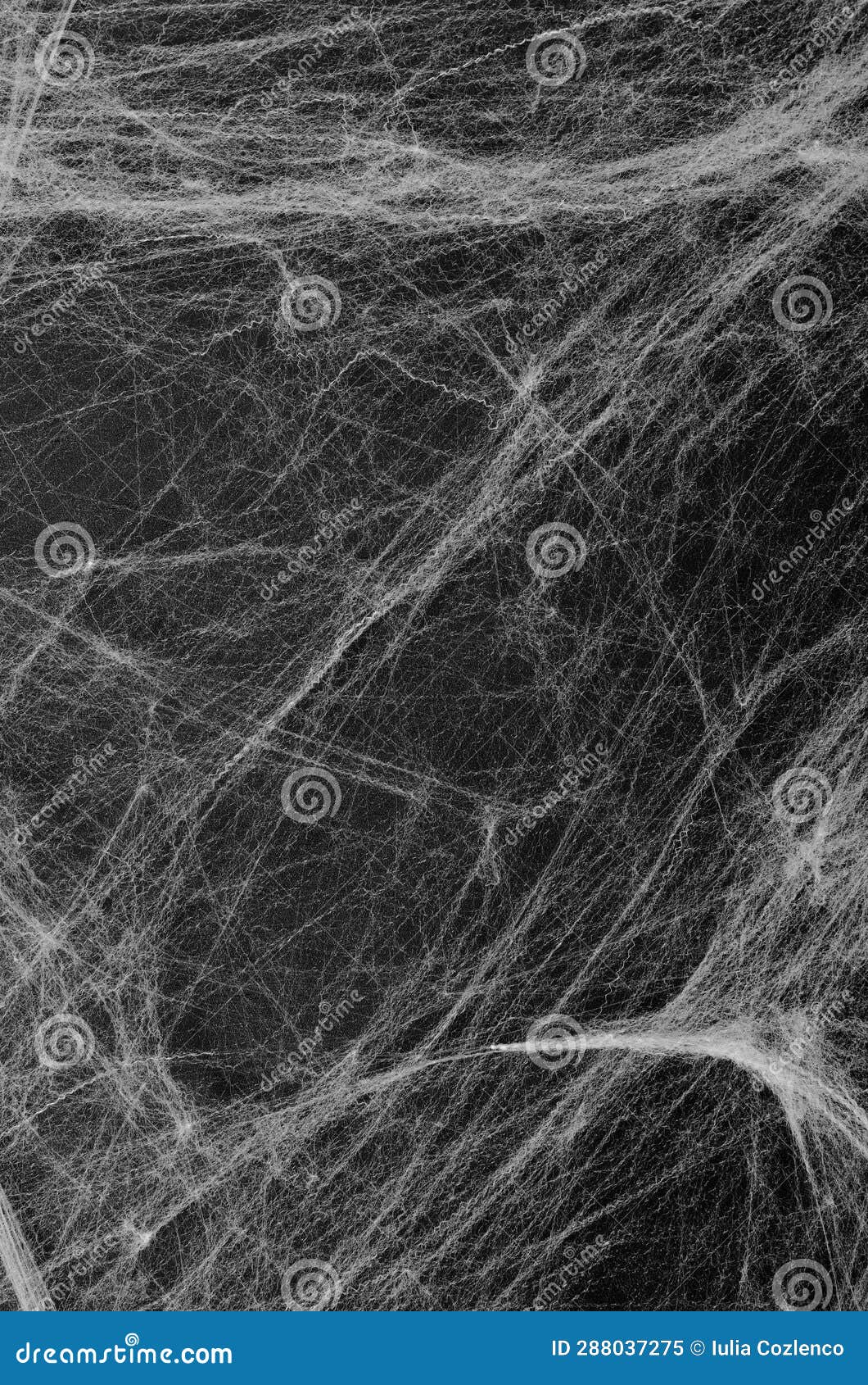 Cobweb on Black Background, Abstract Texture, Halloween Design, Spider ...