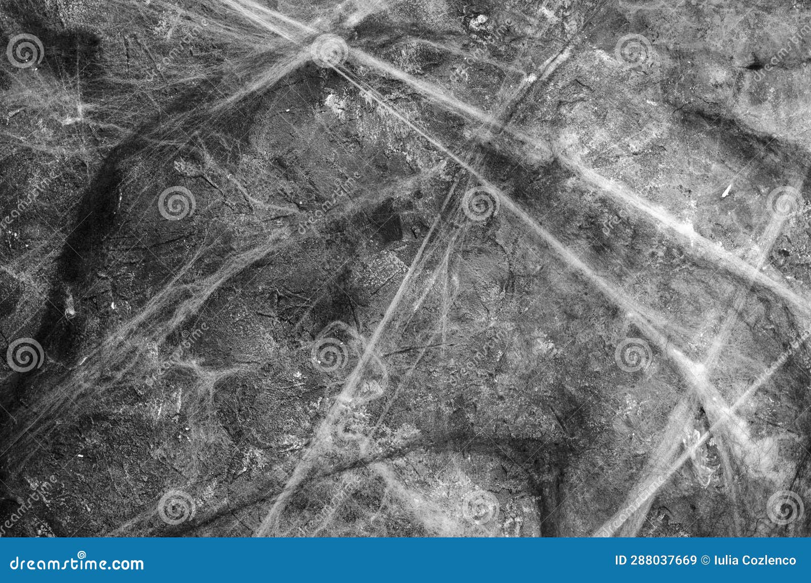 Cobweb on Black Background, Abstract Texture, Halloween Design, Spider ...