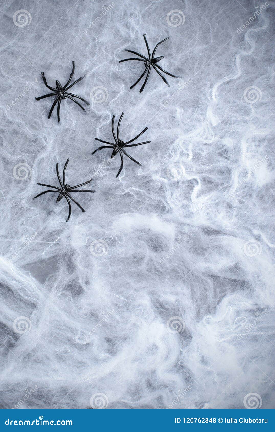 Cobweb with Black Spiders on Dark Cobweb Background, Halloween Symbol ...