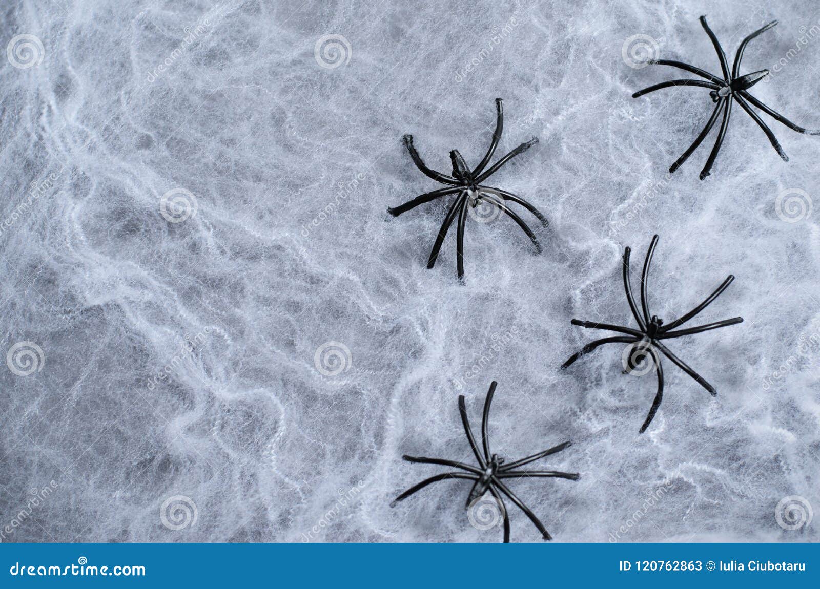 Cobweb with Black Spiders on Dark Cobweb Background, Halloween Symbol ...