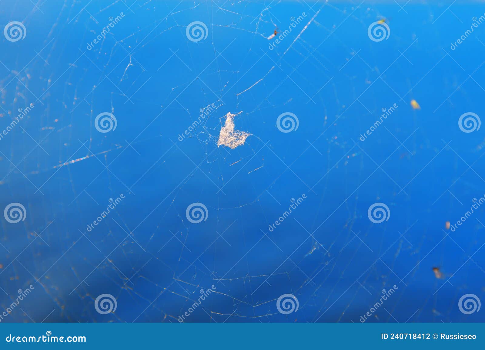 Cobweb on a Blue Background Stock Photo - Image of blue, macro: 240718412