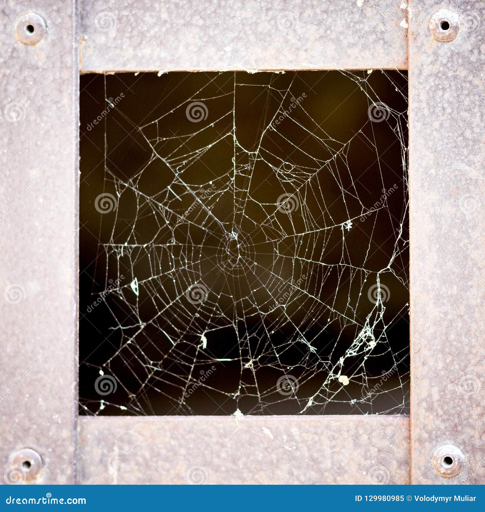 A Cobweb on a Dark Background in an Iron Frame_ Stock Image - Image of ...