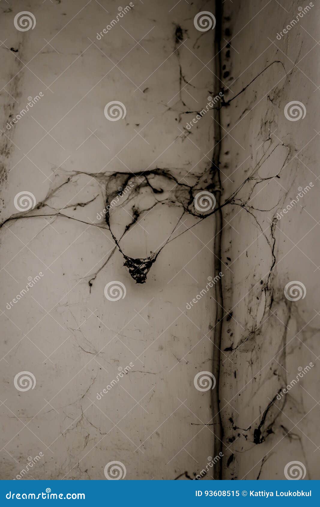 Cobweb on the dirty wall stock image. Image of cobweb - 93608515