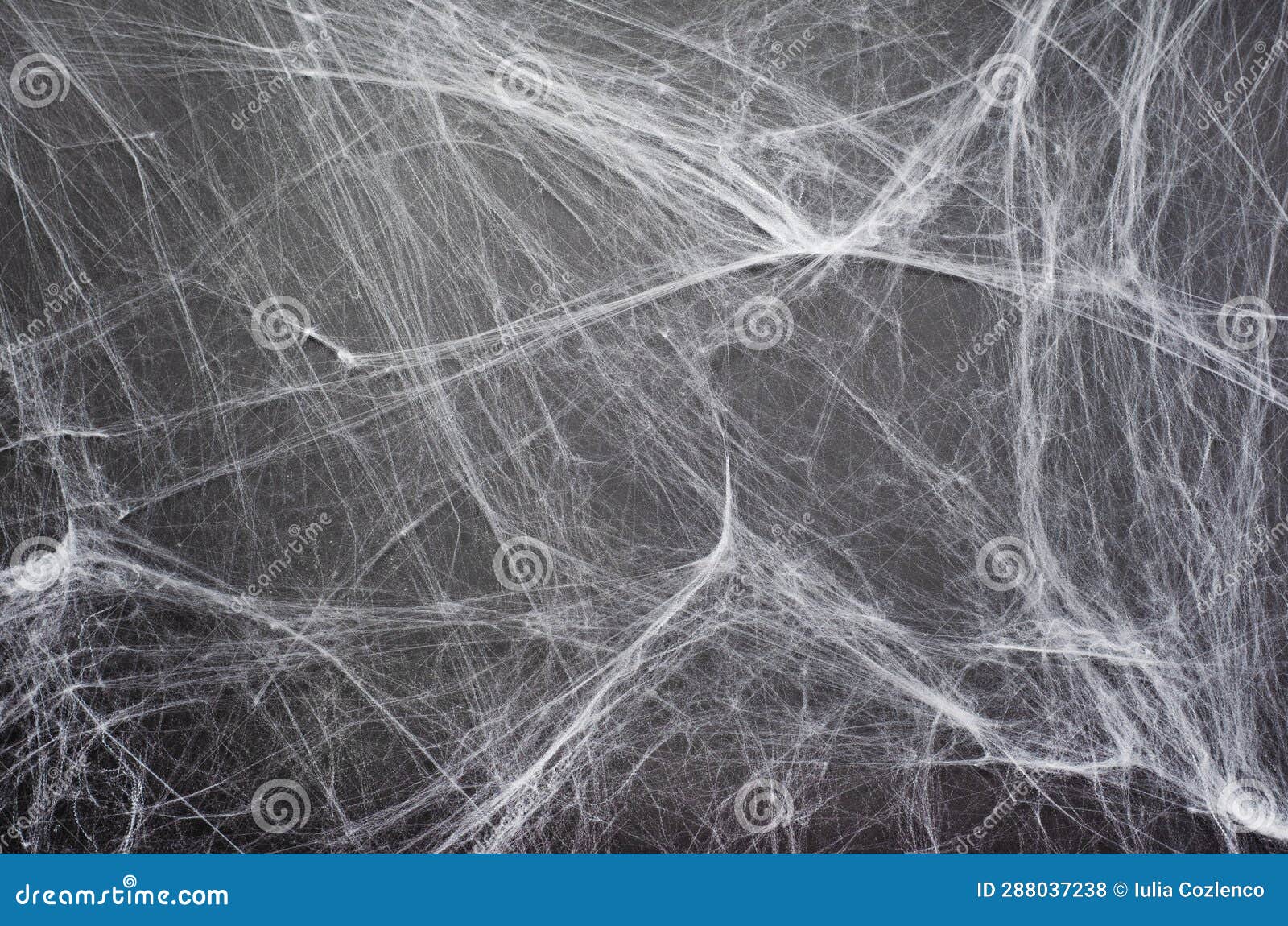 Cobweb on Grey Background, Abstract Texture, Halloween Design, Spider ...