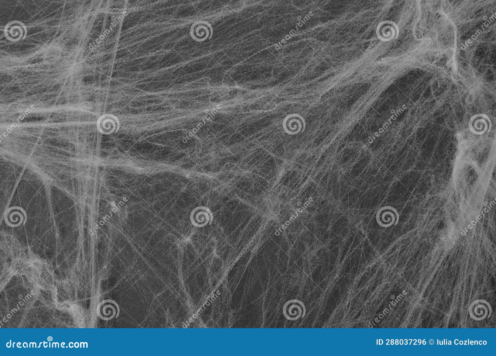 Cobweb on Grey Background, Abstract Texture, Halloween Design, Spider ...