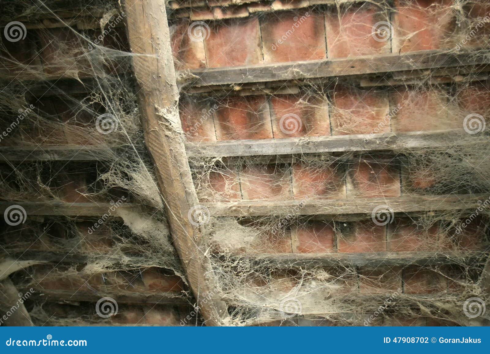 Cobweb in old roof stock photo. Image of wood, spider - 47908702